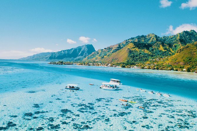 Half Day Snorkeling in Moorea - The Snorkeling Itinerary: What to Expect