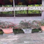 Half day Spice Necklace Tour - Who Should Consider This Tour?