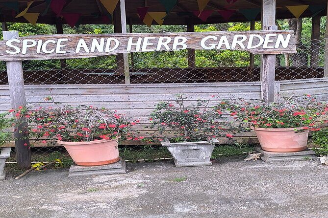 Half day Spice Necklace Tour - Who Should Consider This Tour?