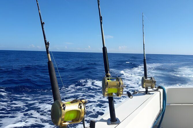 Half Day Sport Fishing Excursion Departing from Sosua - The Value of an All-Inclusive Package