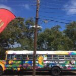 Half Day St. Kitts Party Bus City Excursion and Beach - Who Should Consider This Tour?