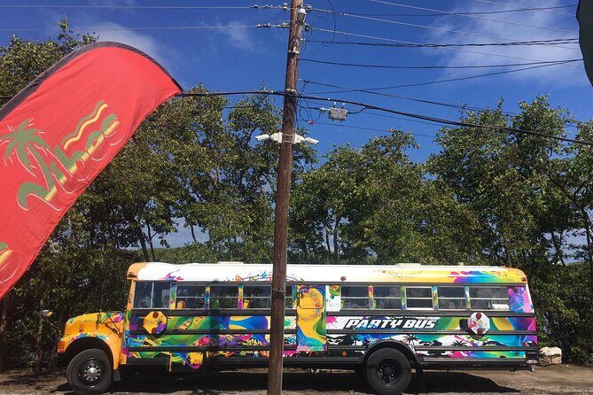 Half Day St. Kitts Party Bus City Excursion and Beach - Who Should Consider This Tour?