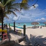 Half Day Swimming Pigs on Rose Island, Snorkeling and Lunch - Snorkeling at Rose Island