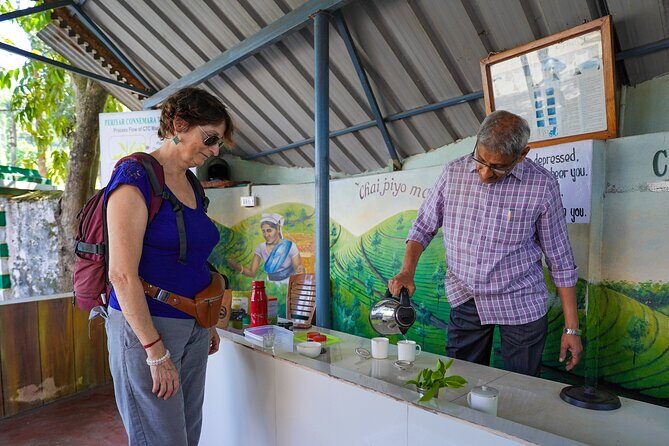 Half Day Thekkady Tea Trail Tour - The Experience from a Traveler’s Perspective