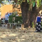 Half Day Tobago Tours with Transfers - Transportation and Comfort