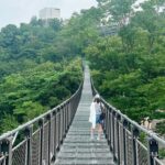 [Half-Day Tour] Aegibong DMZ Eco Park & Suspension Bridge - What’s the Value?