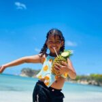 Half Day Tour Excursion in Macao Beach - Practical Tips for Travelers