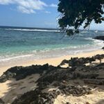 Half Day Tour in Samana with ATV Adventure - What Makes This Tour Stand Out