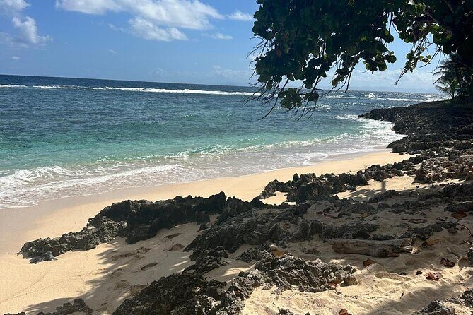 Half Day Tour in Samana with ATV Adventure - What Makes This Tour Stand Out