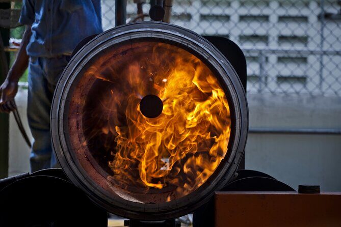 Half-Day Tour: Ron Barceló Factory Experience from Santo Domingo - Real Traveler Insights