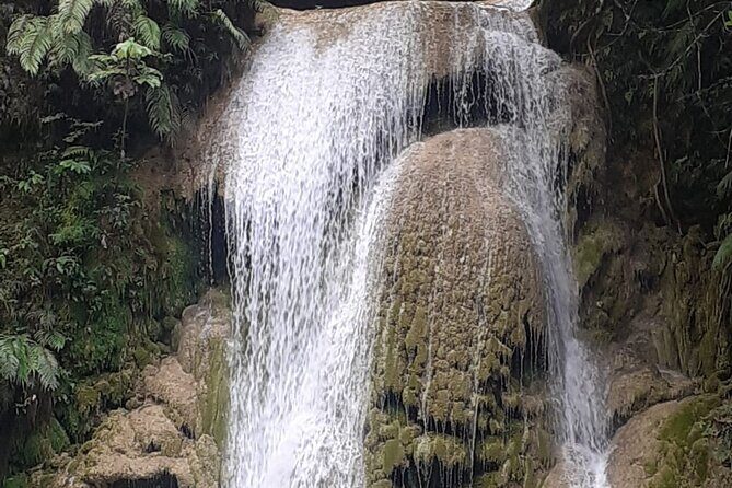 Half day Tour to El Limón Waterfall with Lunch - What Travelers Say (Based on Actual Reviews)
