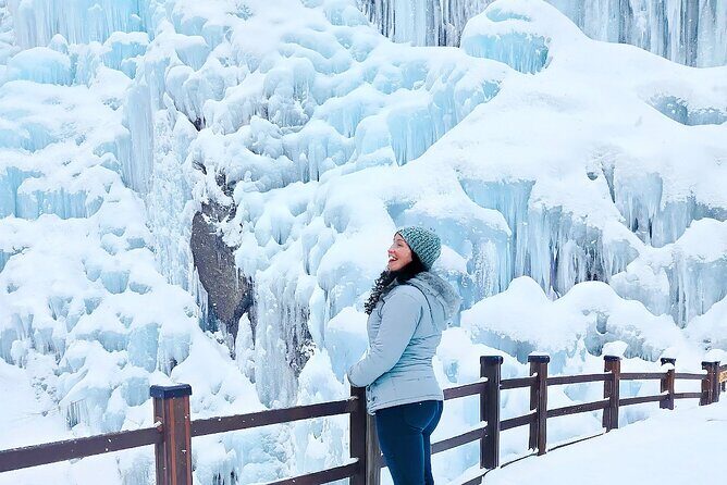 Half Day Tour to Eobi Ice Valley and Nami Island - Why This Tour Offers Great Value