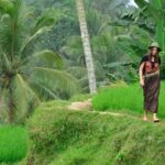 Half Day Tour Ubud Rice Terrace with Activities and Waterfall - What’s Included and What’s Not