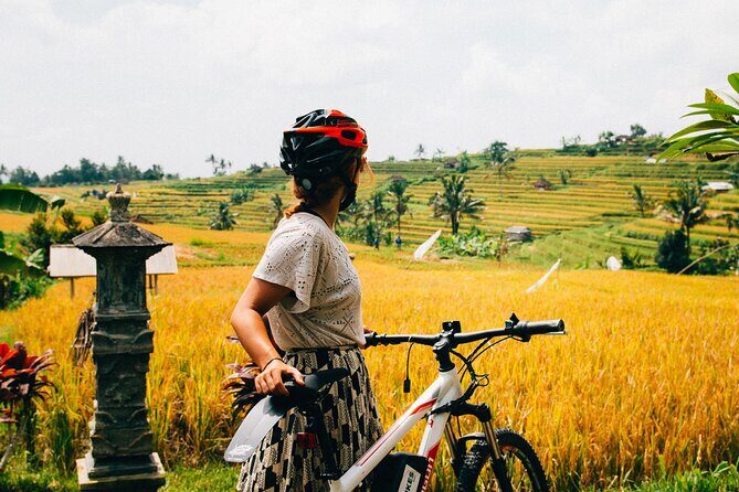 Half-Day Ubud Rice Field and Village Cycling Tour - Why This Tour Works
