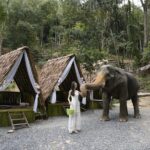 Half day with Elephants at Patong Elephant Hug No ride No trick - Authentic reviews and insights