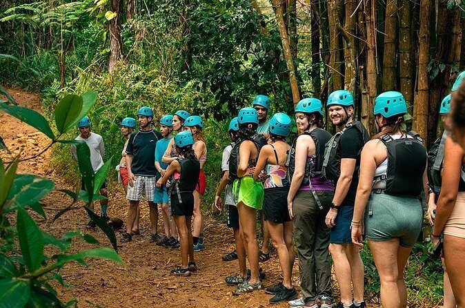 Half-Day Yunque Rainforest Waterslide & Rope swing - Authenticity and Adventure Value