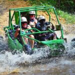 Half-Day Zip Line Experience with Buggy Tour - Pricing and Value