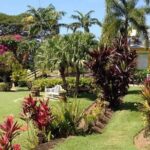 Half-Island Tour of St Kitts - Price, Value, and Overall Impression