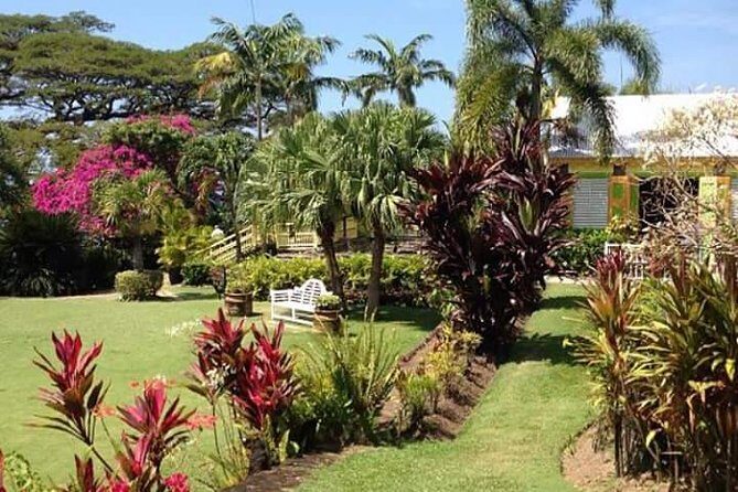 Half-Island Tour of St Kitts - Price, Value, and Overall Impression