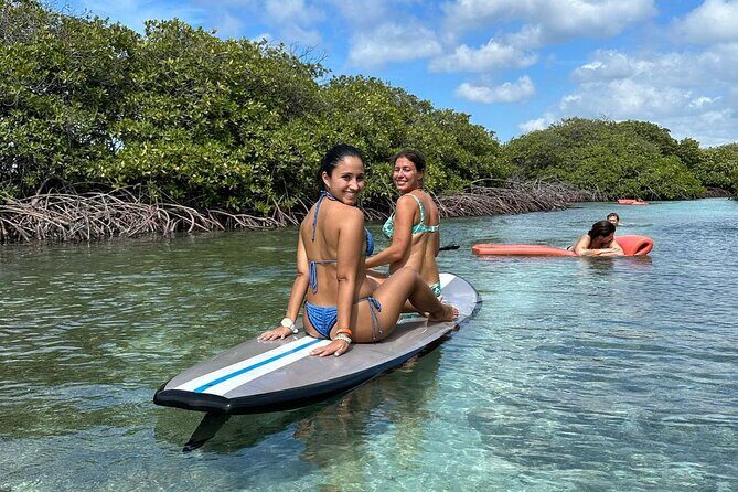 HalfDay Private Snorkel & Mangrove Experience  Local Host - Final Thoughts