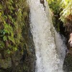 Halfway to Hana Sightseeing Adventure - The Practical Side: What to Expect