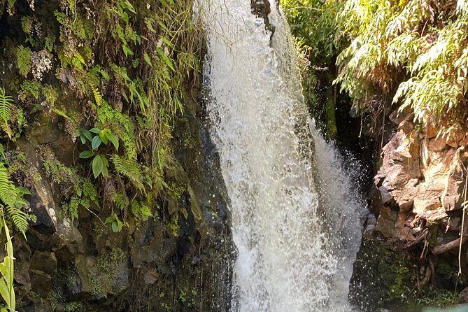 Halfway to Hana Sightseeing Adventure - The Practical Side: What to Expect