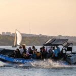 Halifax: 50-Minute Boat Tour of the Harbour - Who Should Consider This Tour?