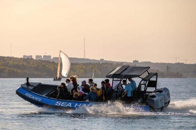 Halifax: 50-Minute Boat Tour of the Harbour - Who Should Consider This Tour?