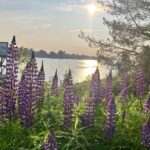 Halifax Like a Local Darkside Walking Tour - Detailed Breakdown of the Itinerary