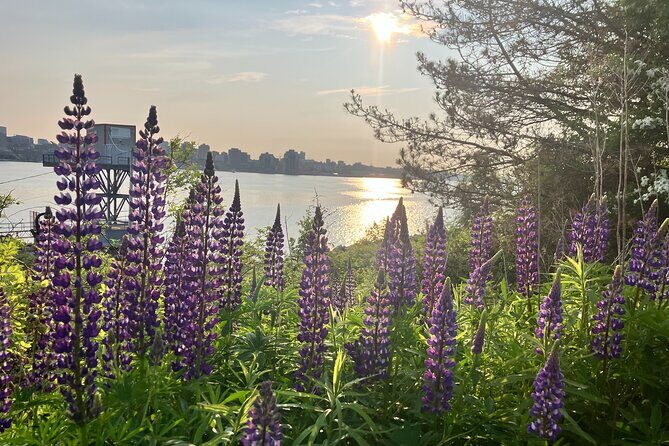 Halifax Like a Local Darkside Walking Tour - Detailed Breakdown of the Itinerary