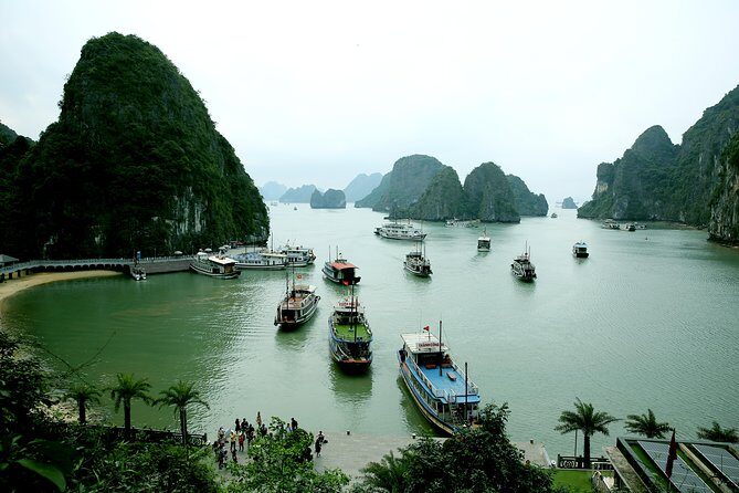 Halong Bay Cruise Tour from Hanoi with Kayak Adventure - Why the Reviews Echo the Experience