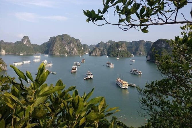 Halong Bay One Day Tour Included Bus - In-Depth Review of the Tour Experience
