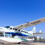 Halong Bay Seaplane - Scenic Flight to Visit Halong Bay from Sky - The 25-minute Flight: What You’ll See