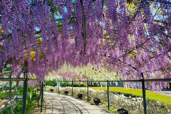 Hamamatsu Flower Park & Lake Hamana Private Tour with Public Bus - Transportation and Practicalities