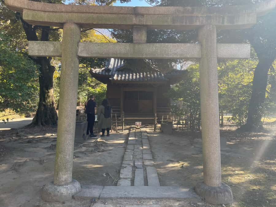 Hamarikyu - Ginza Park Tour - A Closer Look: What You Can Expect from the Hamarikyu - Ginza Park Tour