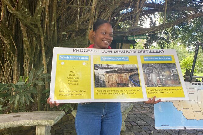 Hampden Rum Factory Tour With French Guide - Authentic Experiences and Real Traveler Insights