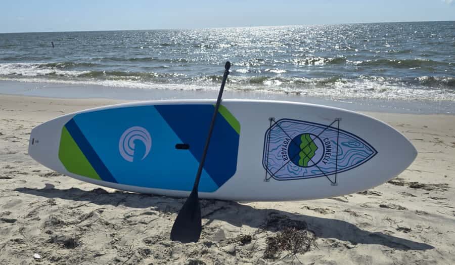 Hampton: Stand Up Paddle Board Rental at Buckroe Beach - Who Will Love This Experience?