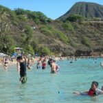Hanauma Bay Admission Tickets with Transportation - Key Points