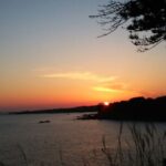 Handam Coastal Road & Camellia Hill - Private Tour west of jeju - What Travelers Say and Why They Love It