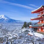 Haneda Airport: One Way Private Transfer to Tokyo|Yokohama Hotels - Authentic Experiences from Reviews