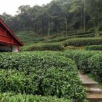 Hangzhou Private Arrival Transfer: Railway Station to Hotel - Why Choose This Transfer?