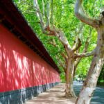 Hangzhou: Southern Song Heritage Sightseeing Hiking Tour - Practicalities and Value