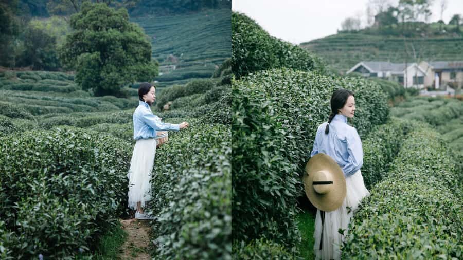 Hangzhou: Tea Village Photoshoot in Longjing - Practical Details: Logistics and Tips