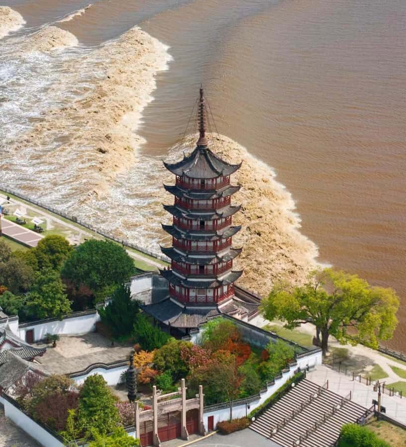 Hangzhou to Haining: Tide Park, Folk Museum & Shadow Puppet - Why This Tour Offers Great Value