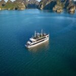 Hanoi: 5-Star Sea Lion Luxury Day Cruise in Halong, Buffet Lunch - The Buffet Lunch