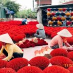 Hanoi: Bird Park & Weaving Village or Hat & Incense Village - Exploring the Mysterious Caves