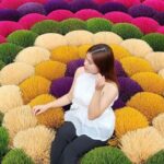 Hanoi Boi Khe Pagoda, Wartime Tunnel or Hat, Incense Village - The Guide and Group Dynamics