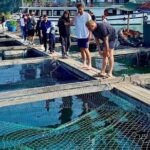 Hanoi- Cat Ba 2D1N: Hike Cat Ba National Park& Explore Lan Ha Bay - Day 1: From Hanoi to Lan Ha Bay’s Secluded Shores