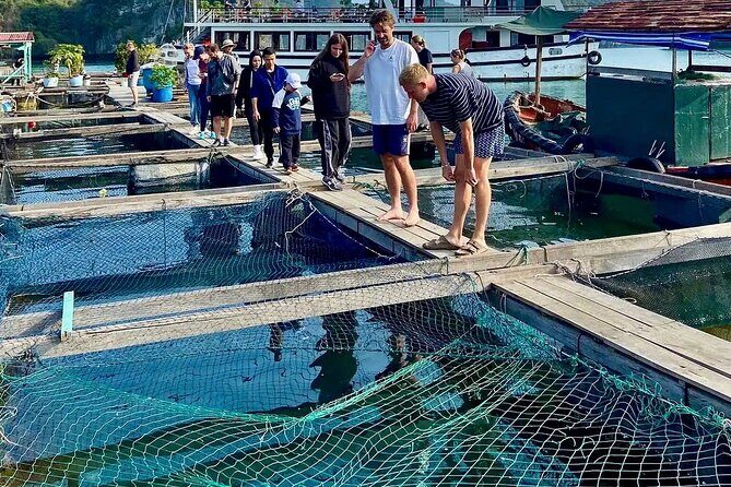 Hanoi- Cat Ba 2D1N: Hike Cat Ba National Park& Explore Lan Ha Bay - Day 1: From Hanoi to Lan Ha Bay’s Secluded Shores