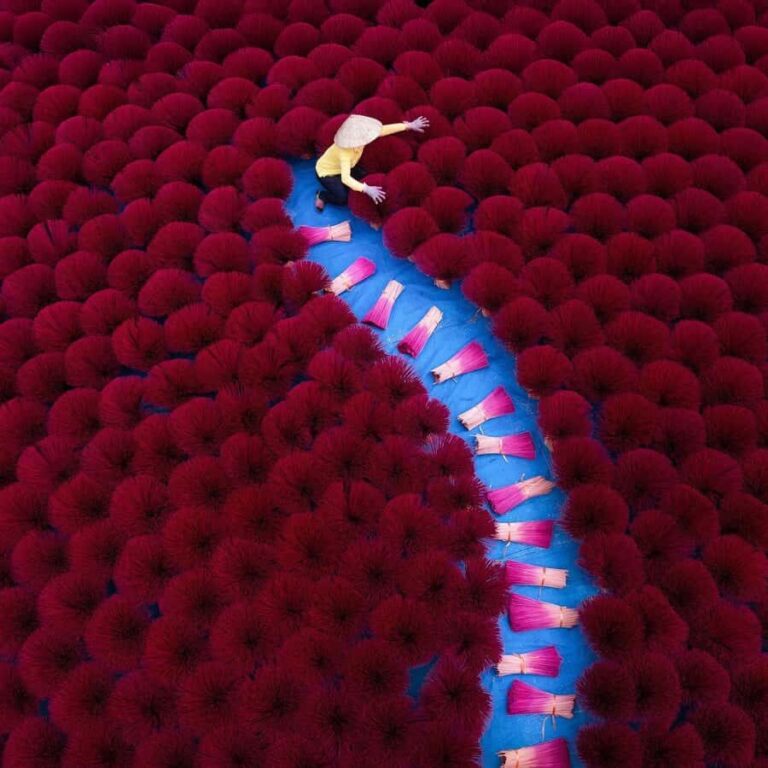 Hanoi: Co Do Painter Village or Incense Village, Hat Village - Who Should Take This Tour?